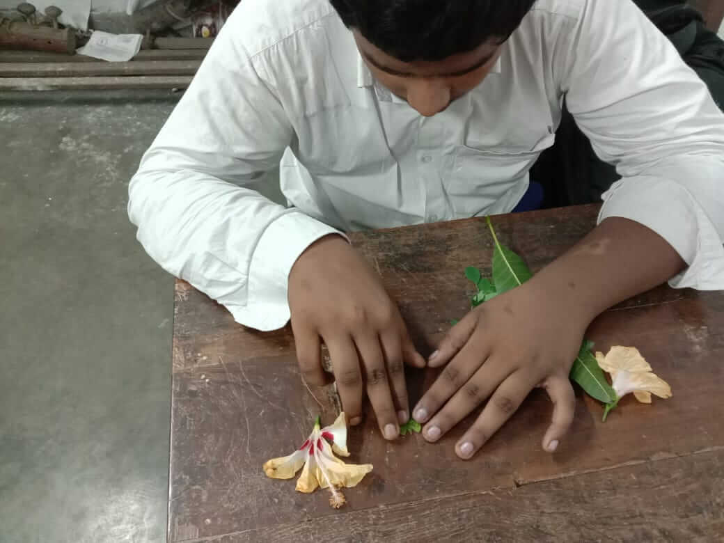 Vision Empower: Empowering children with visual impairment through ...